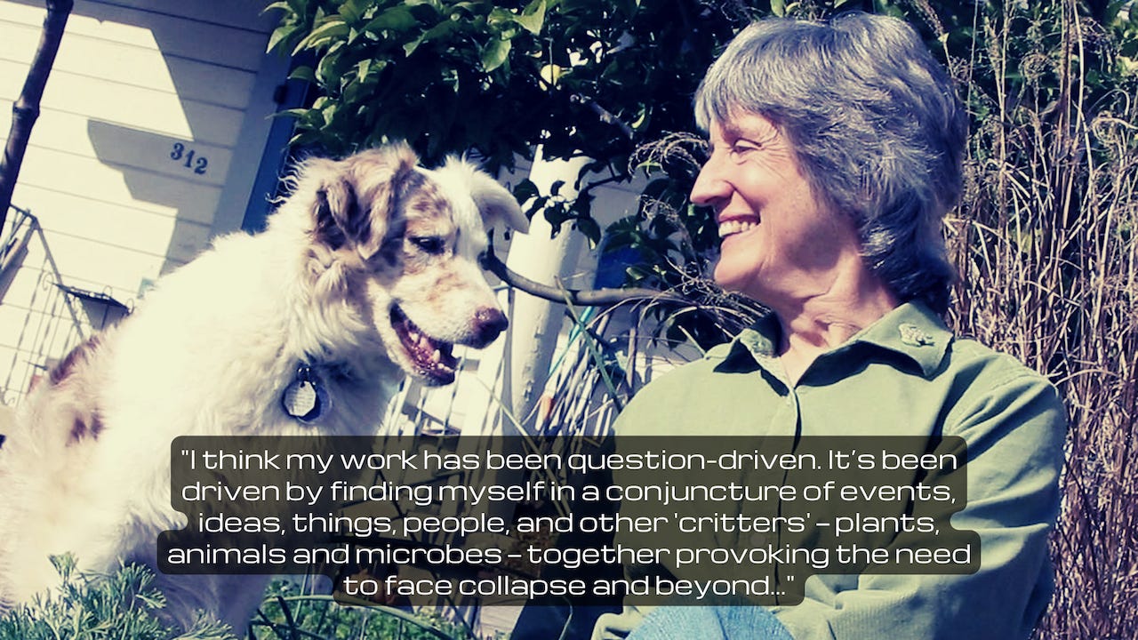 The Kinship Of Donna Haraway - by The counter-intuitive 🐿️