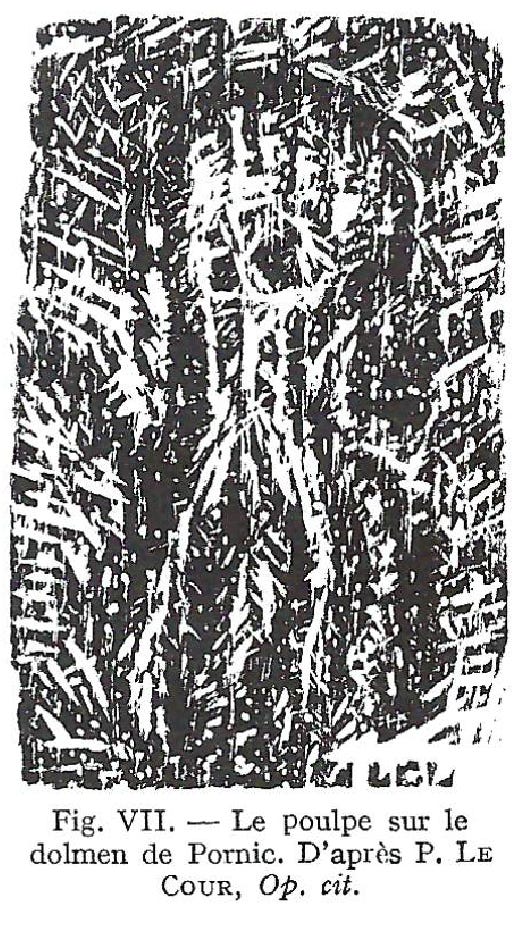 The Bestiary of Christ: The Octopus, The Squid, the Starfish, and the ...