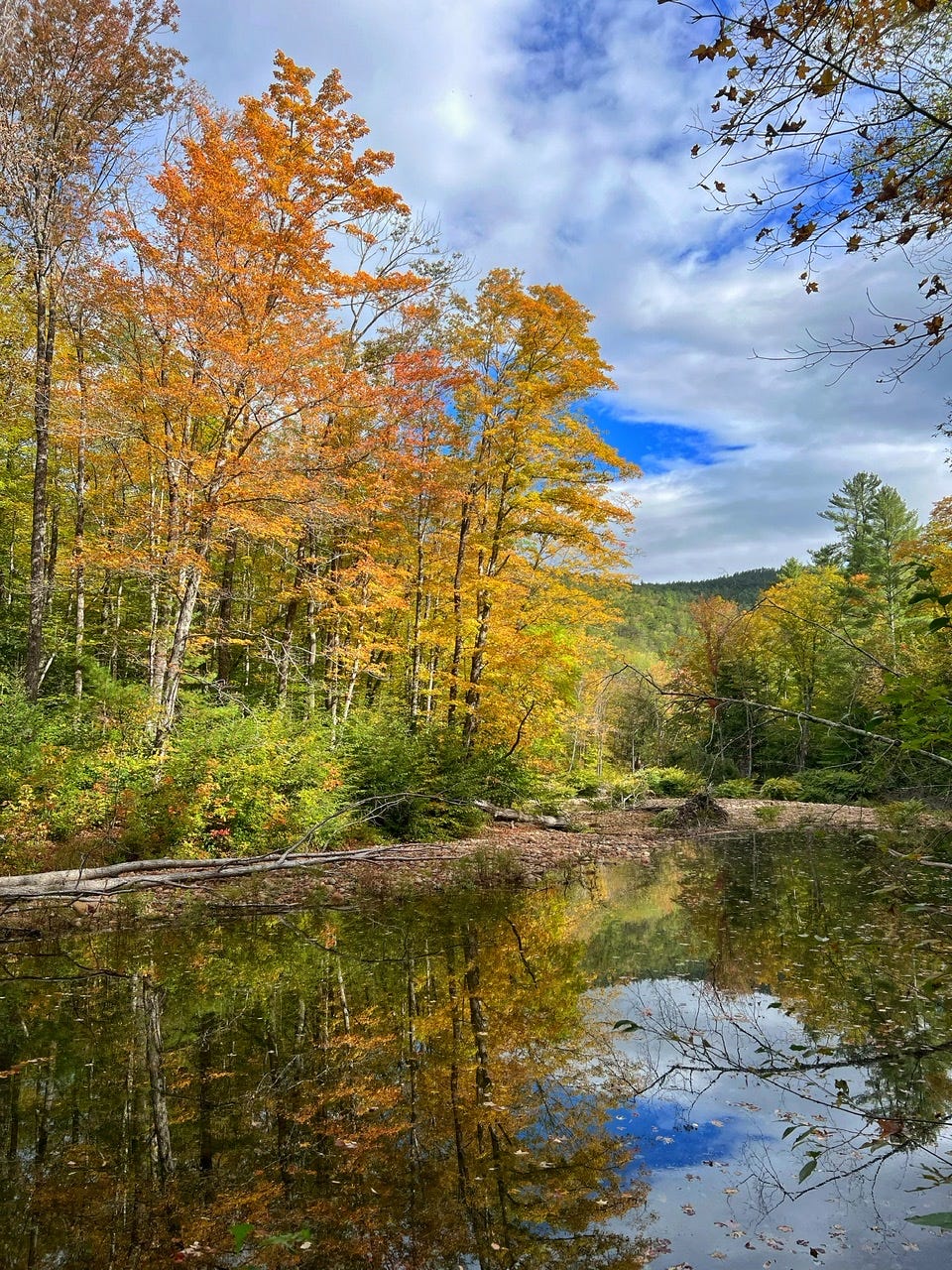 Tom Ryan, Author | Substack