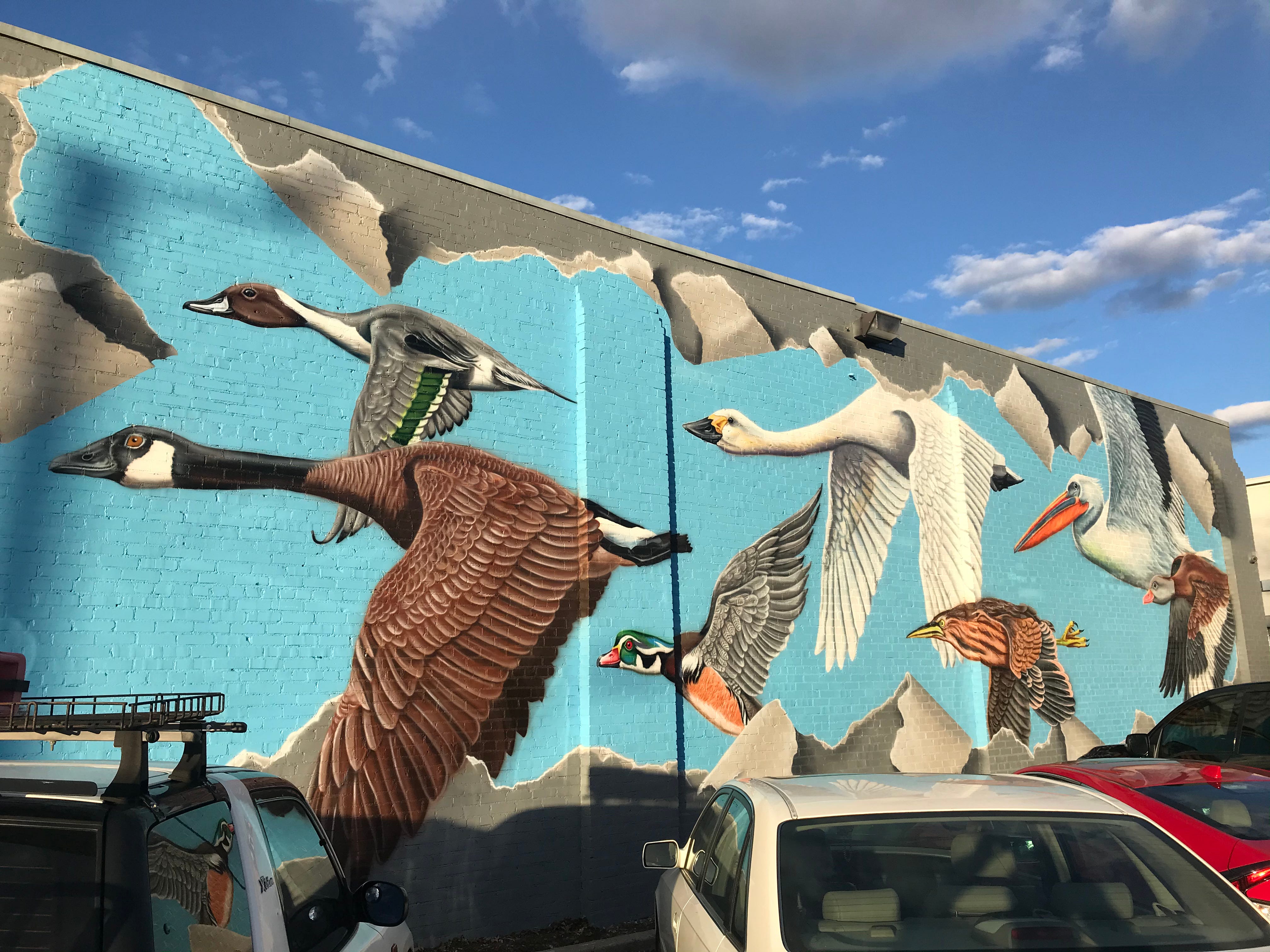 North Little Rock: Murals make downtown Art-genta