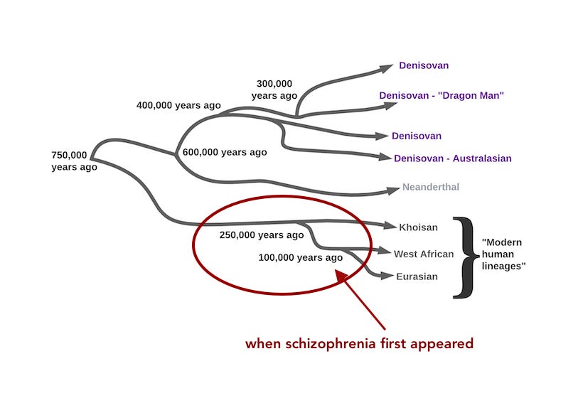 Schizophrenia, creativity, and being human - by Greg