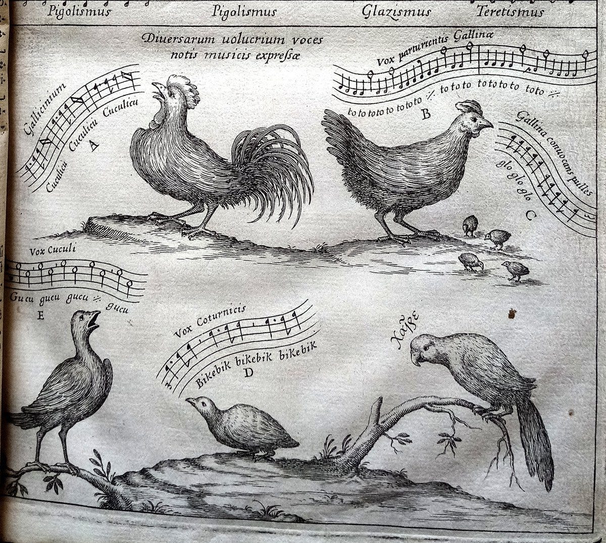 Songs for Invertebrates (Audio Version)