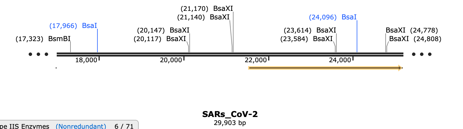 A deep dive on TypeIIs Restriction enzymes - by Anandamide