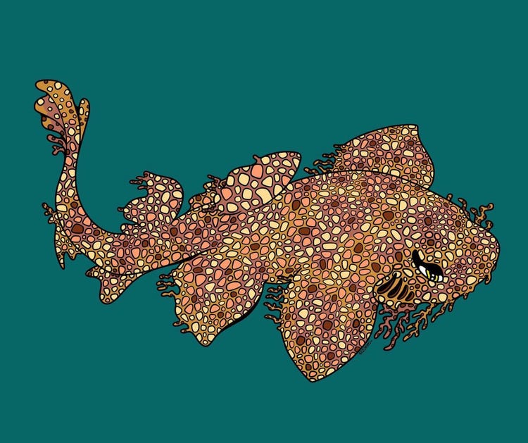 Snorkelling Brighton Beach - the artist AZZURRO