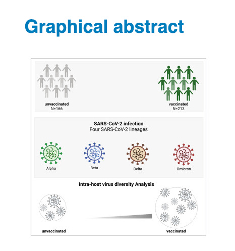 Mind & Matter Newsletter | Oct. 28, 2022 - by Nick Jikomes