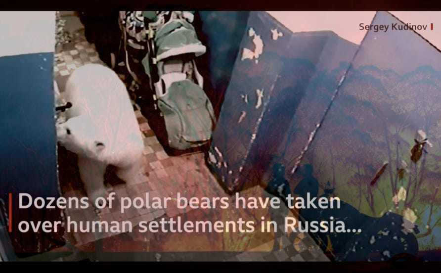 Housekeeping | Alexandra Hollis | Substack