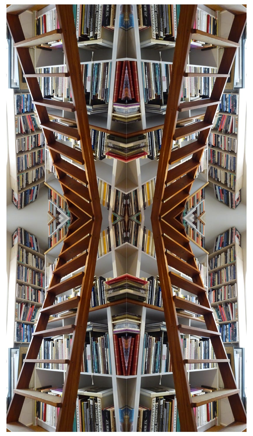 The Problem of Too Many Books (Part 1) - by Ivan Mulcahy