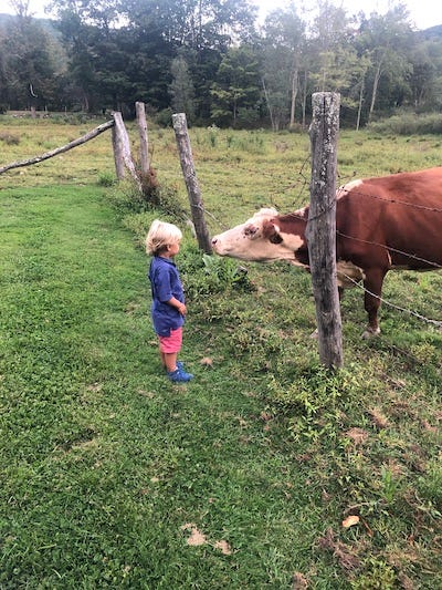 Moving in the Right Direction - by Isabel Cowles Murphy