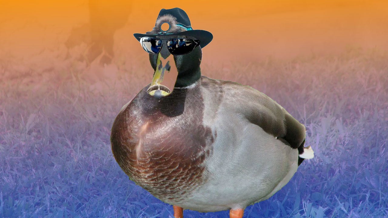 Did Richard Petty Autograph a Live Duck?