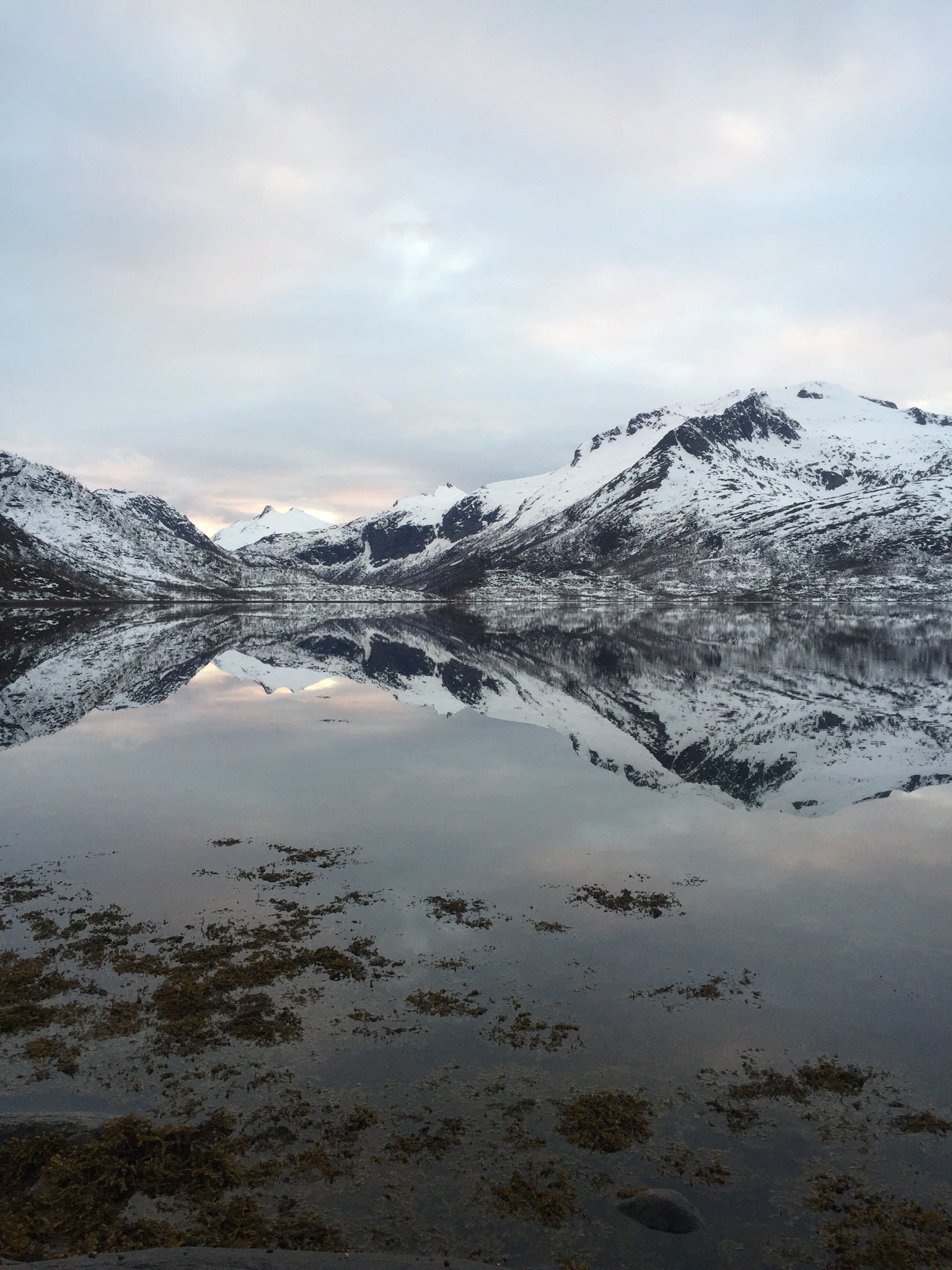Biorefining: the key to kickstarting a seaweed-based bioeconomy