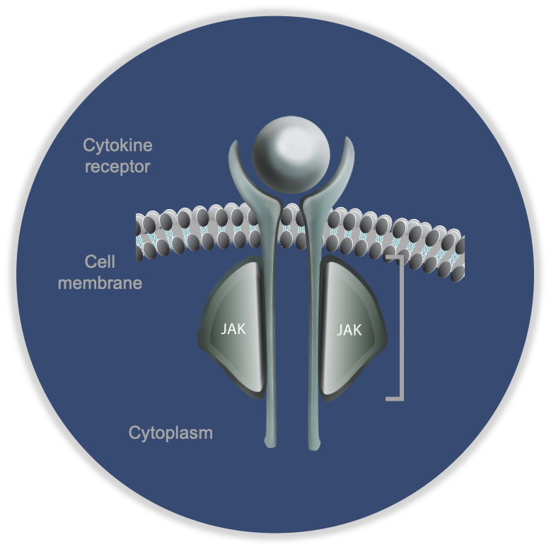 JAK inhibitors in IBD - by Charlie Lees - Atomic IBD