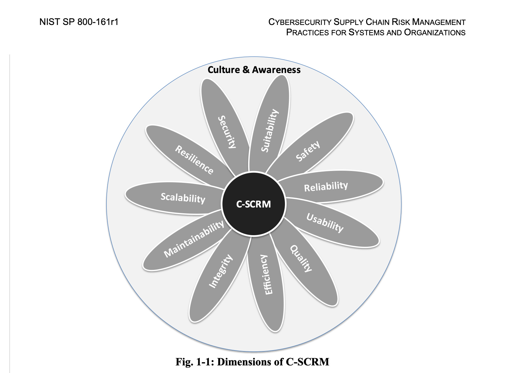 Domain Hijacking attack vectors and C-SCRM - by Chaitanya
