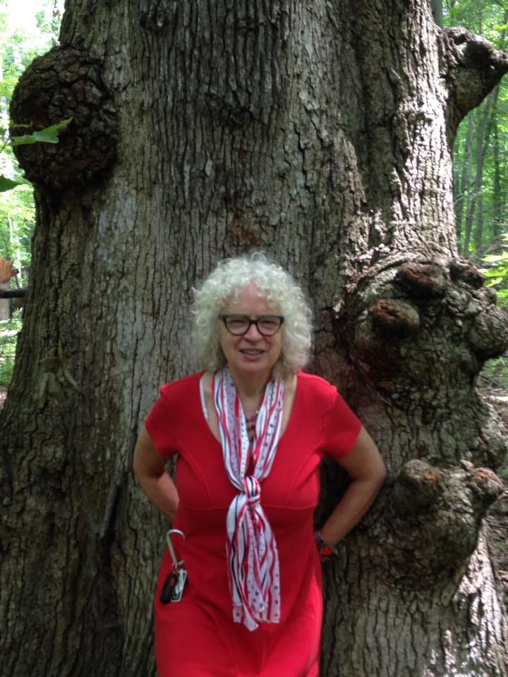 Maureen C. McDonald | Substack