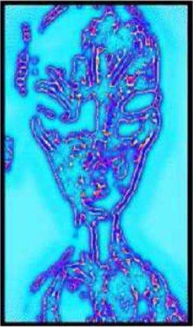 KILLIMAT-ARR - yangbo’s Newsletter