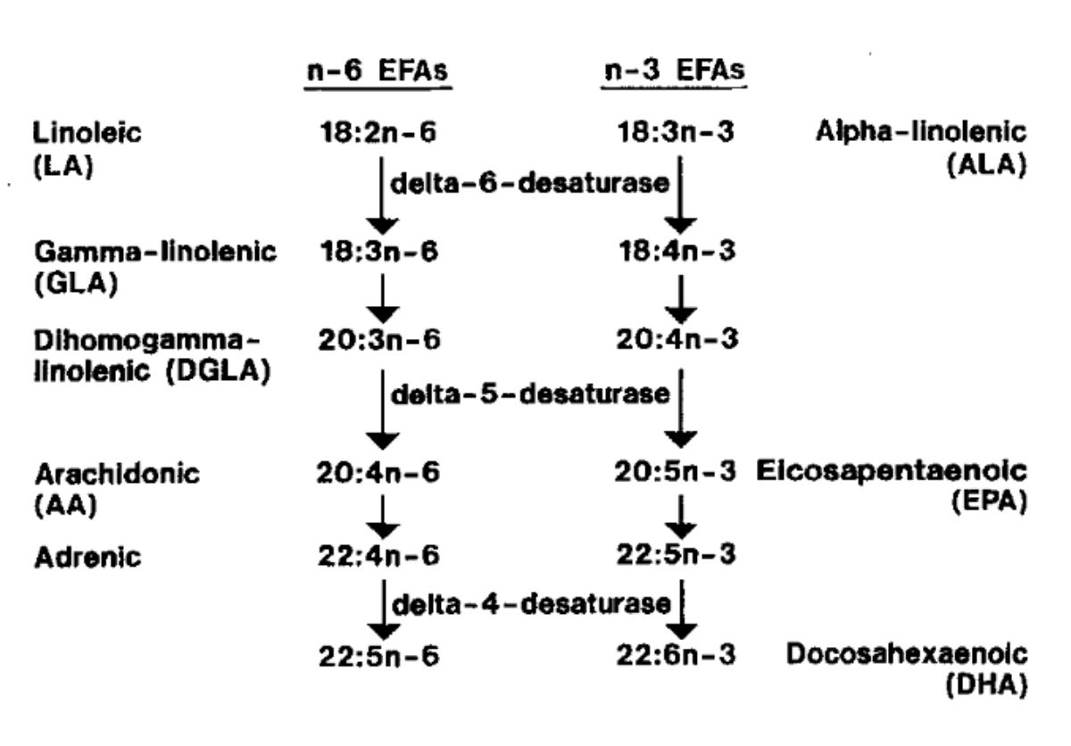 High-dose EPA for Long Covid & ME/CFS? - by LongCovidPharmD
