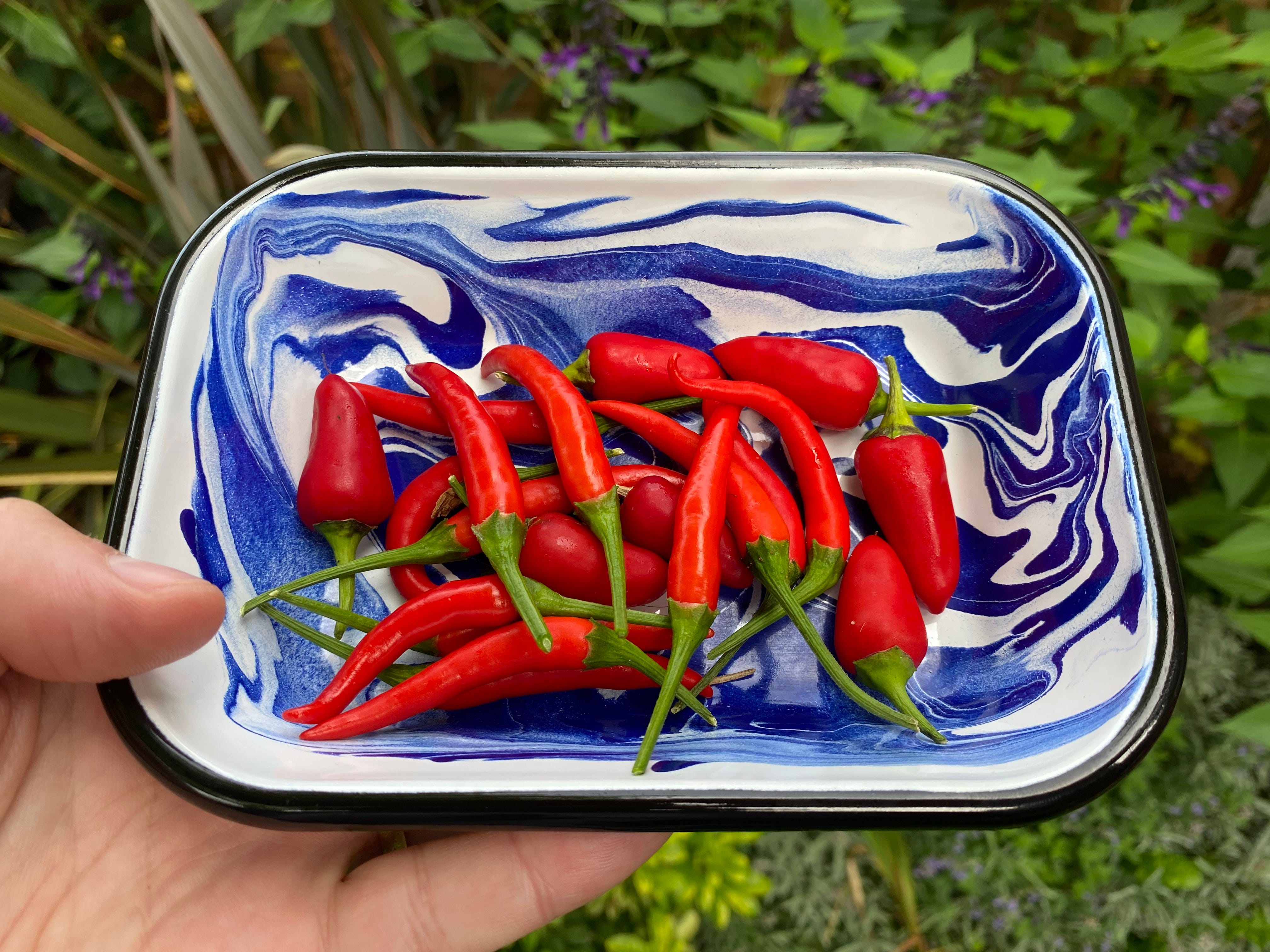 Making chilli jam: the condiment of kings