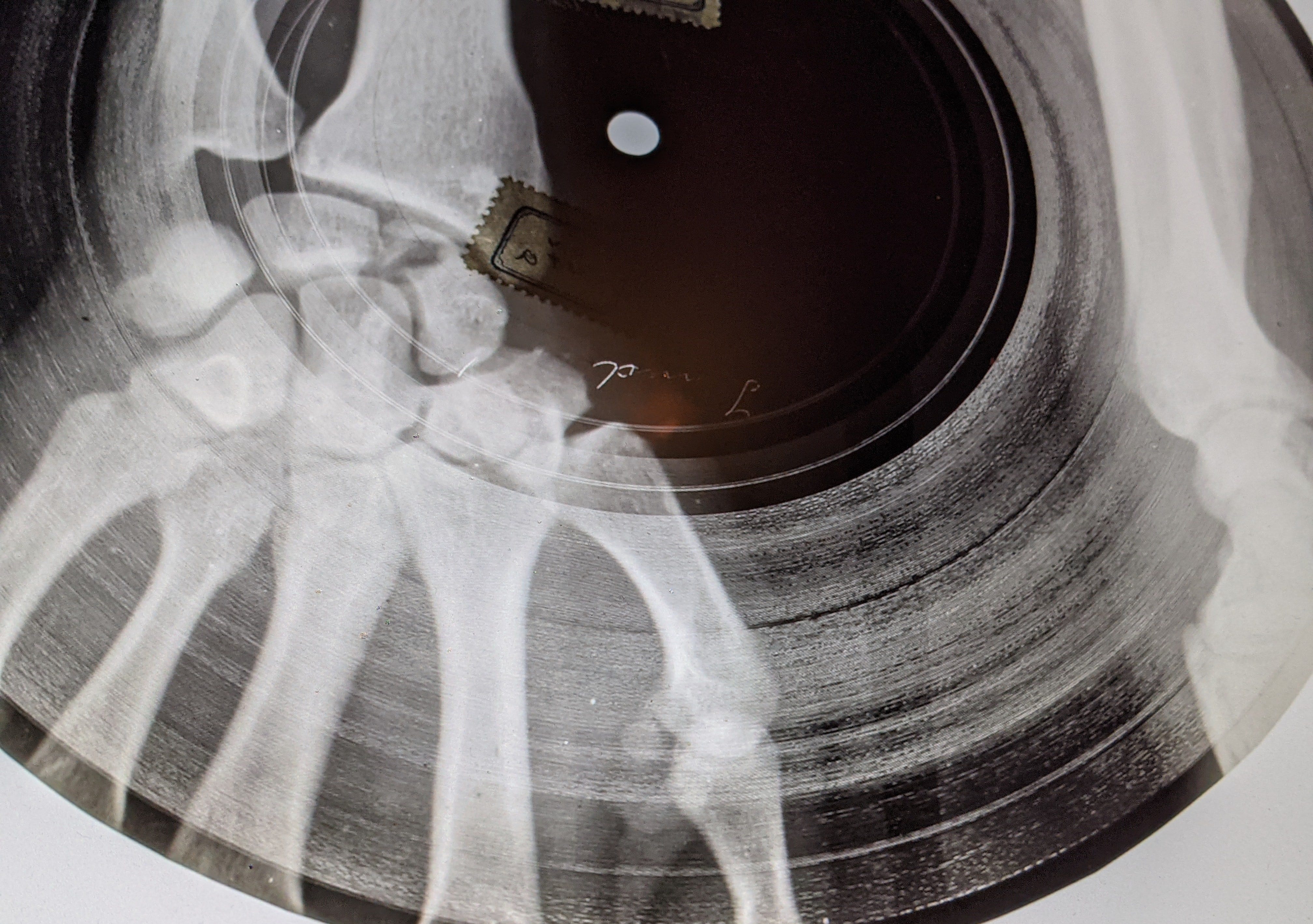 Music on ribs - by Brian Heater - Advertisements for Myself