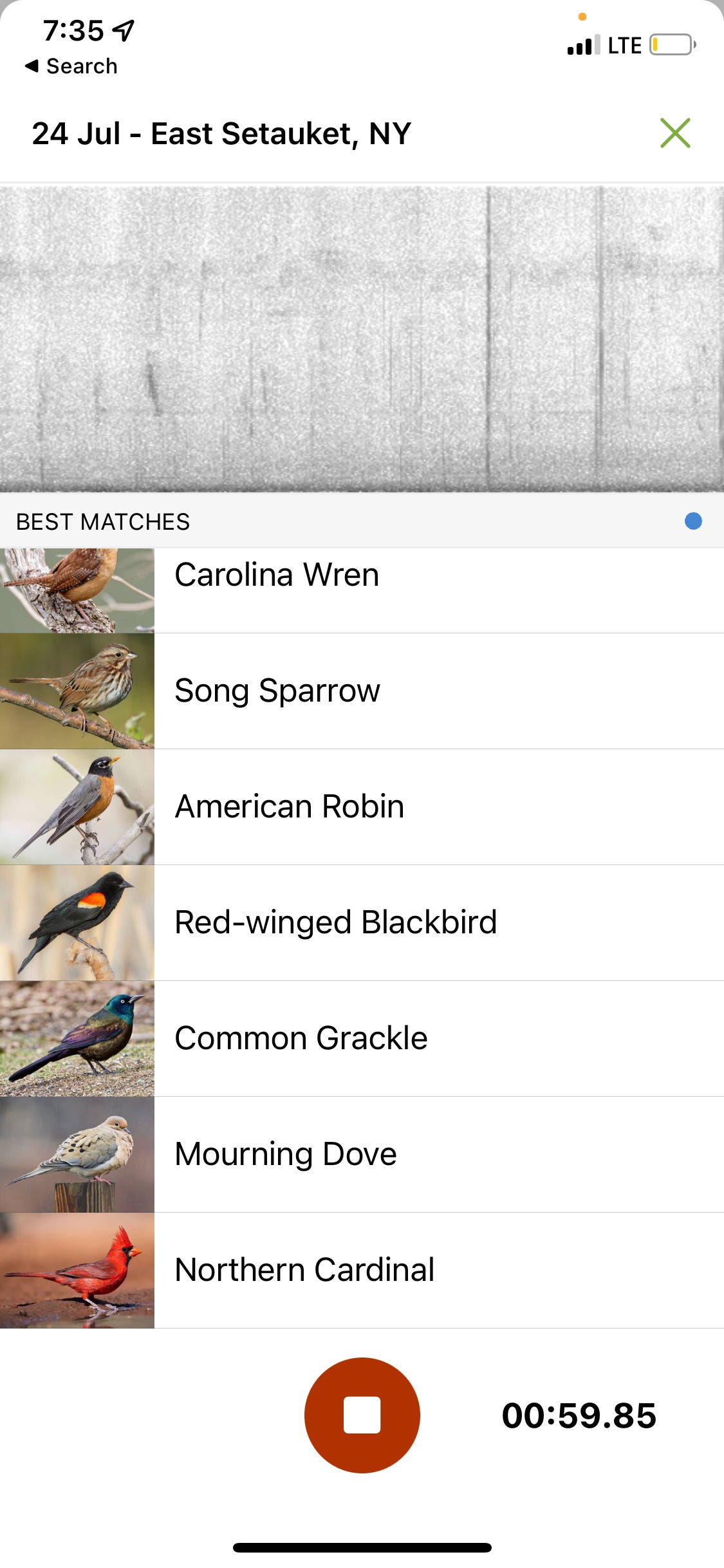Nature for newbies 🦜🍃 - by Jeremy Caplan - Wonder Tools