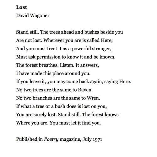 5 Things I Consumed Last Week (the year in listicles #3)