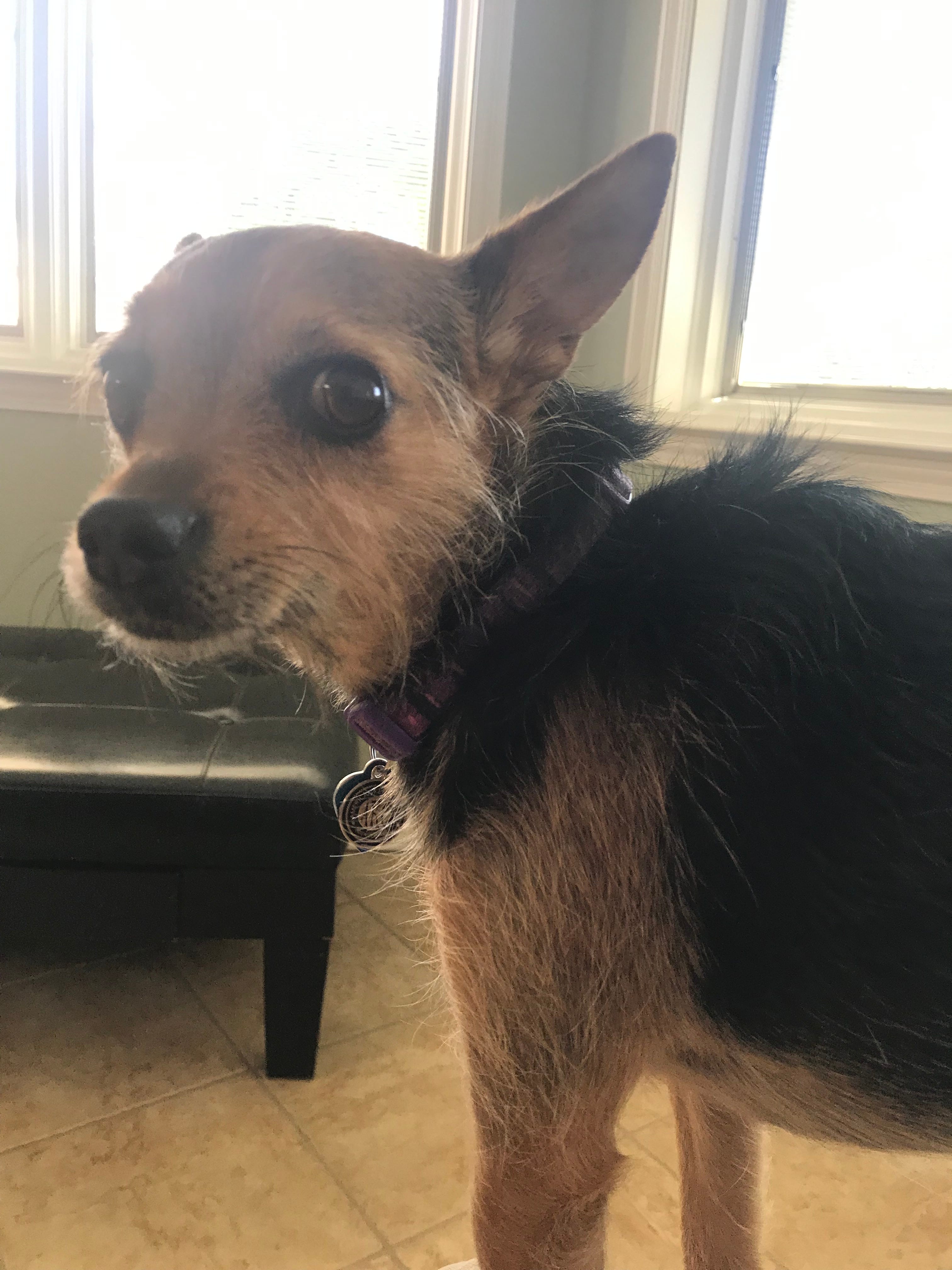 Finally! Greg Morgan ABQ! - by Mark Hawkins