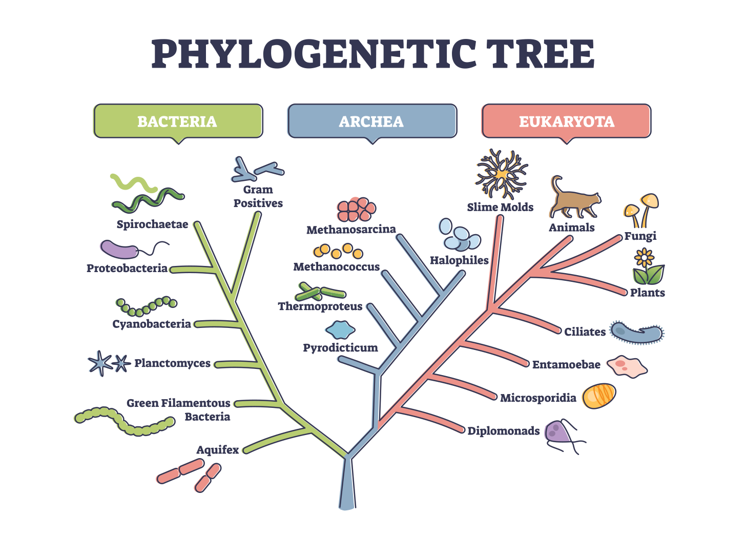 THE REAL EVOLUTIONARY IMPERATIVE - KW Norton Borders