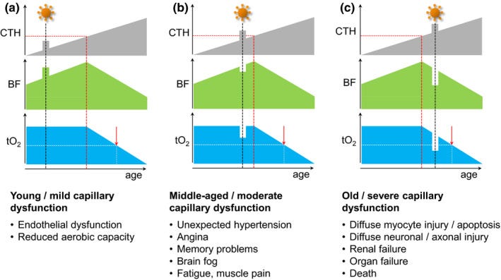 Persistent capillary rarefication in long COVID syndrome