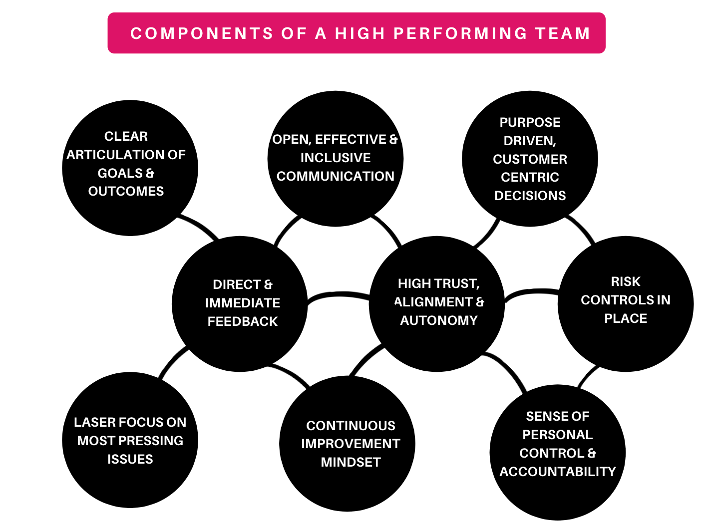 Principles of High Performance Leadership Teams