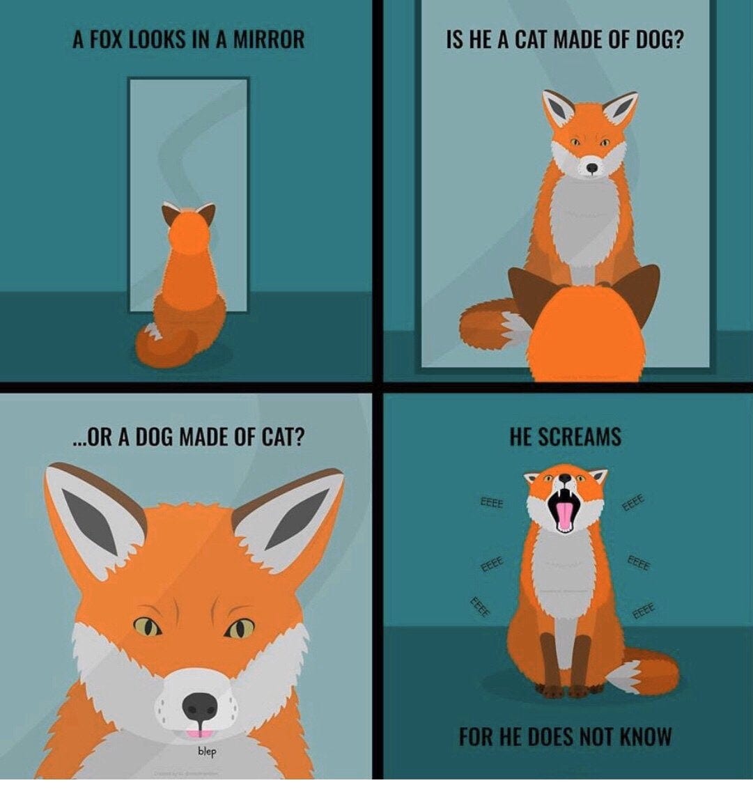 James Clear's Hamster Experiment - by Anirudh