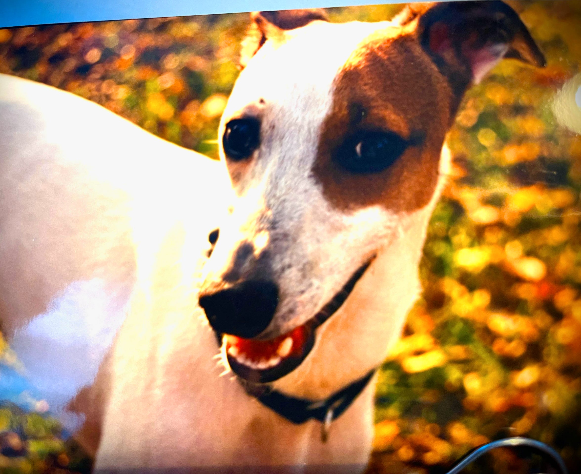 Heaven Enough - Brook Hines' Substack