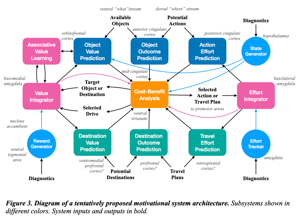 Architecture of the Motivational System - by Alan J Lockett
