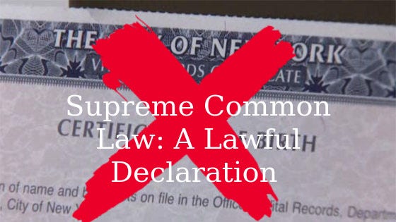Supreme Common Law: A Lawful Declaration: Constitutional Prohibition on ...