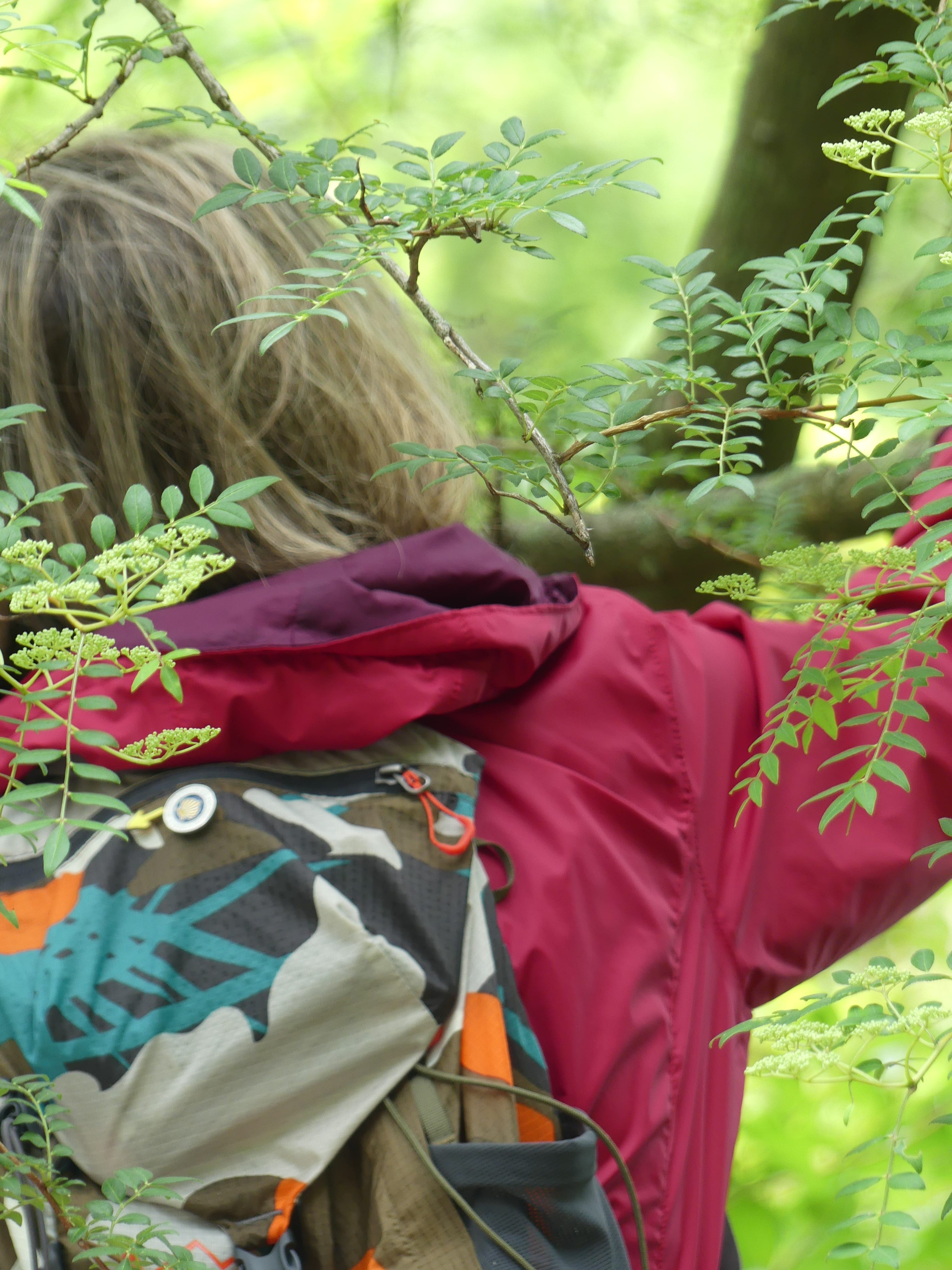 What is Forest Bathing or Forest Therapy?