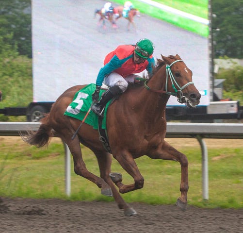 Catalogue Preview - by Nigel Reid - Horseracing BC