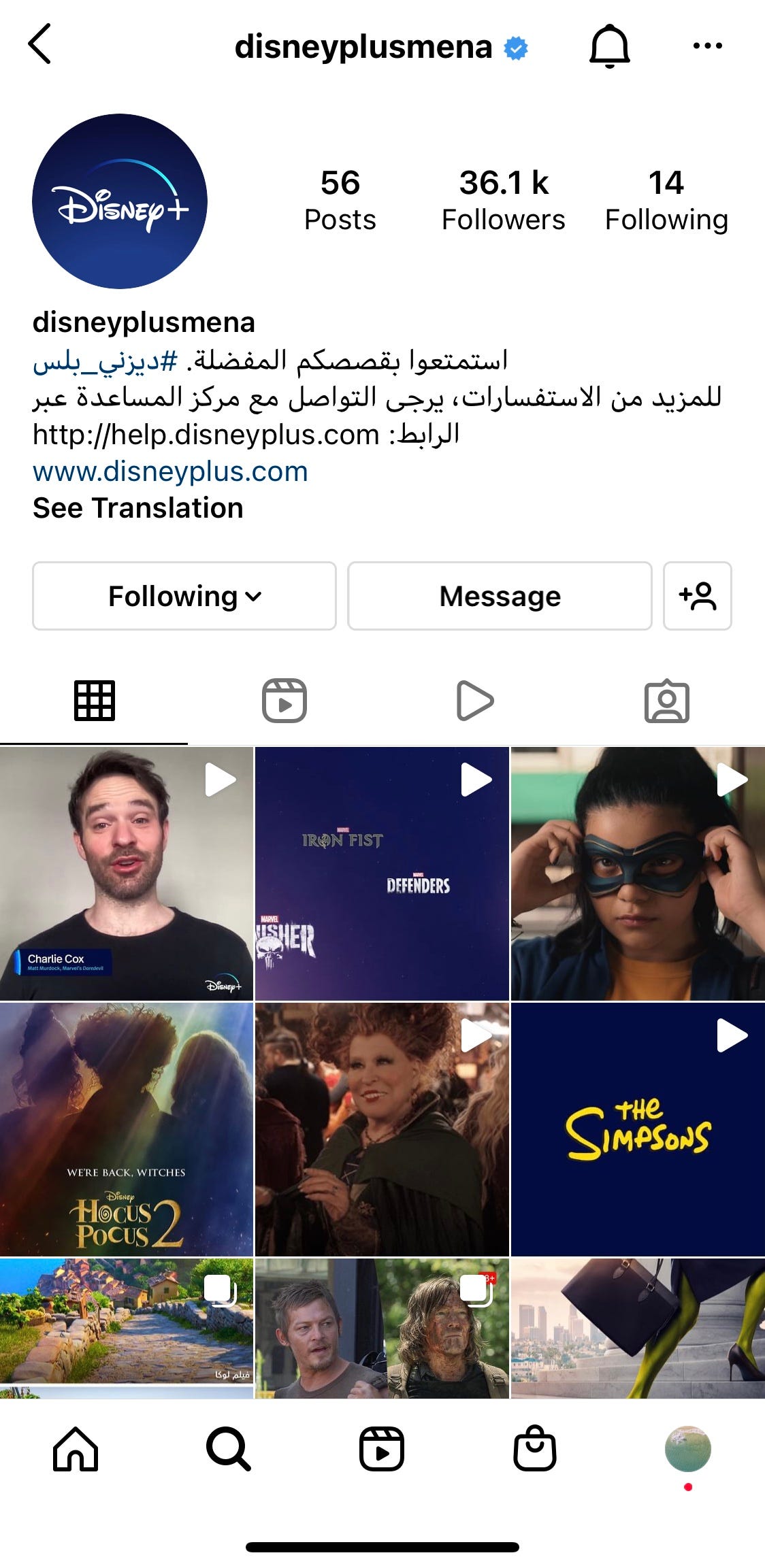 The Disney+ story in Middle East & North Africa