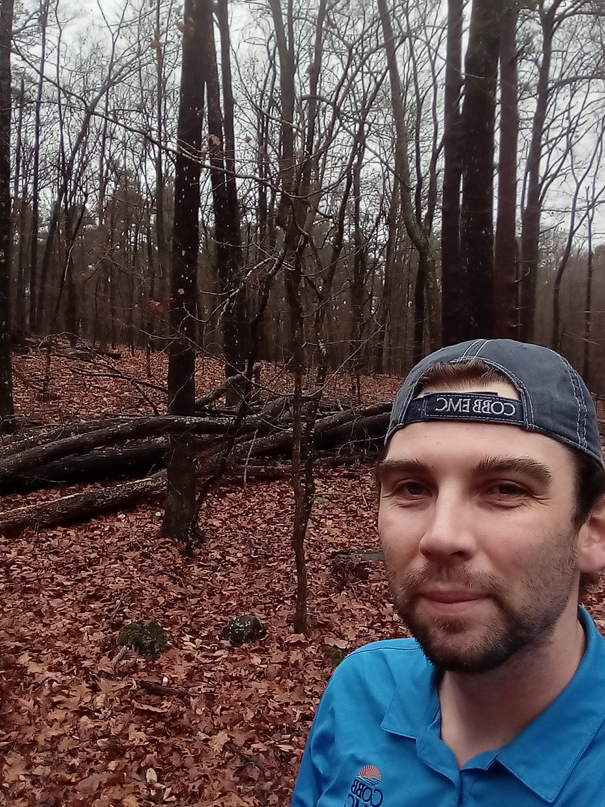 Into the Woods - by Braxton Bennett - The BBB News