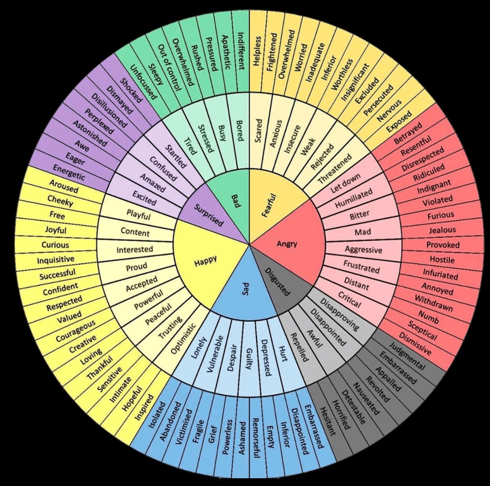 The wheel of emotion - by Felice Della Gatta - Afterhours