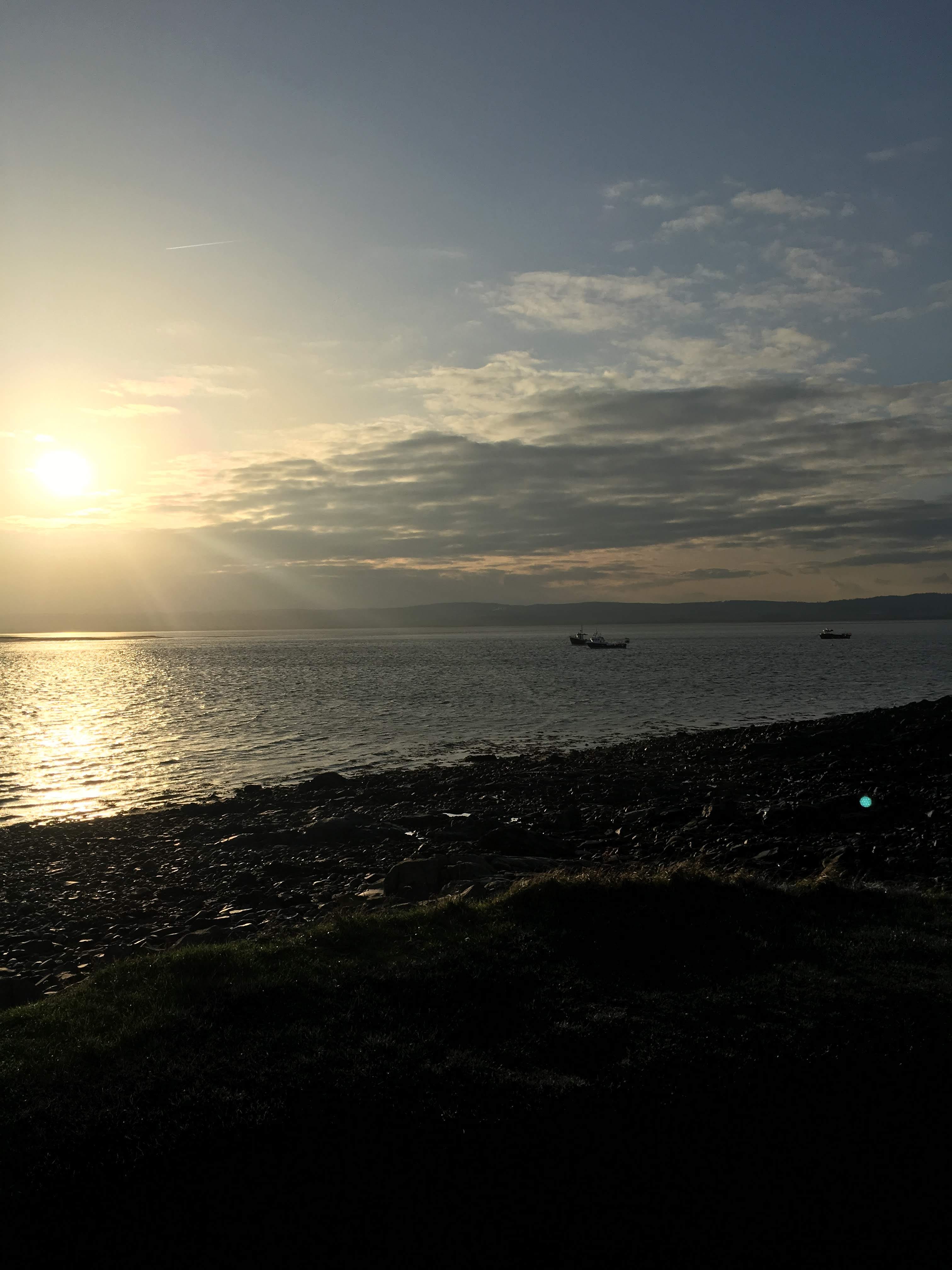 The Universal Alchemy of a Star - by Claire Venus