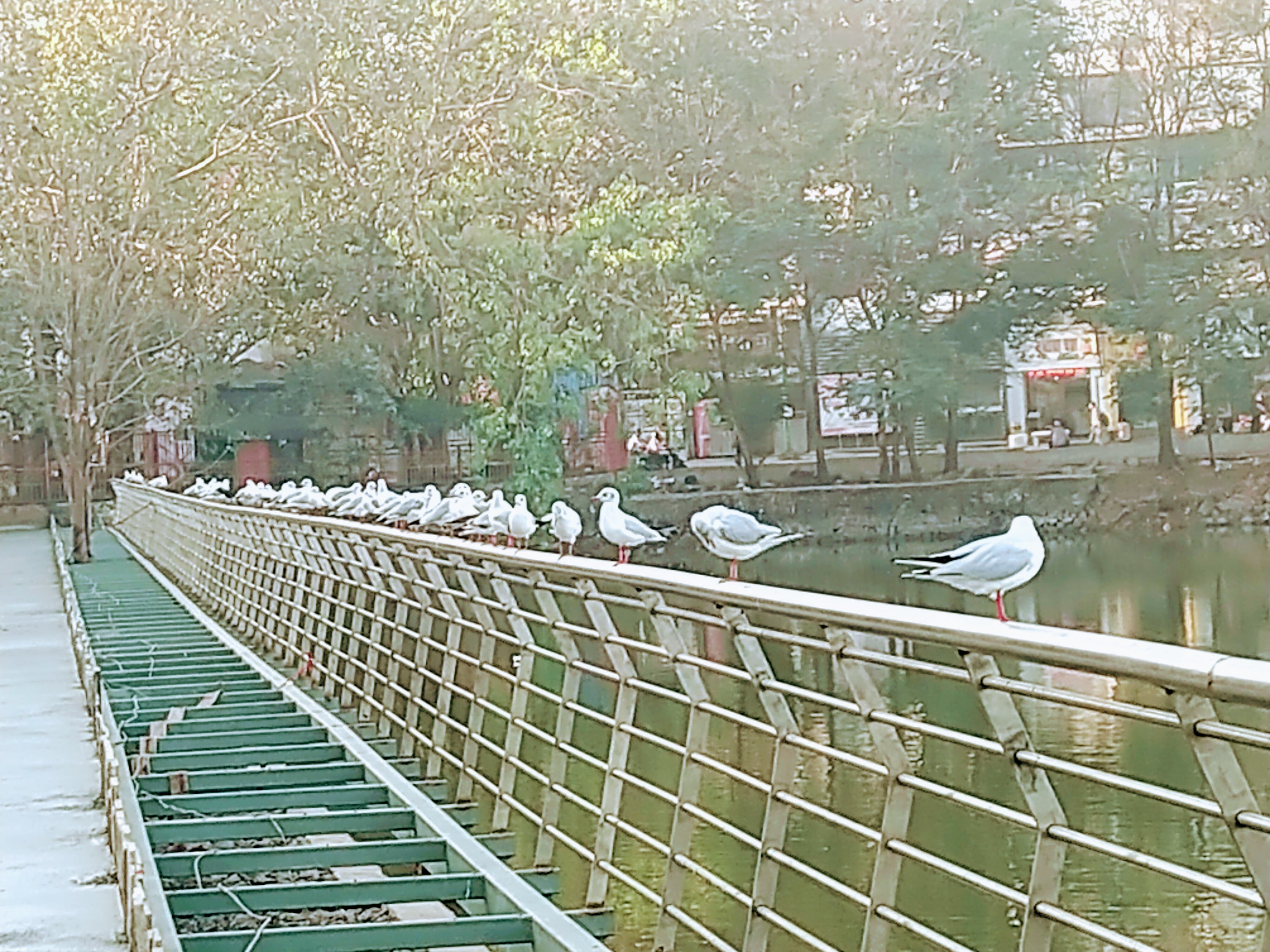 Why should you head to Talao pali this weekend?