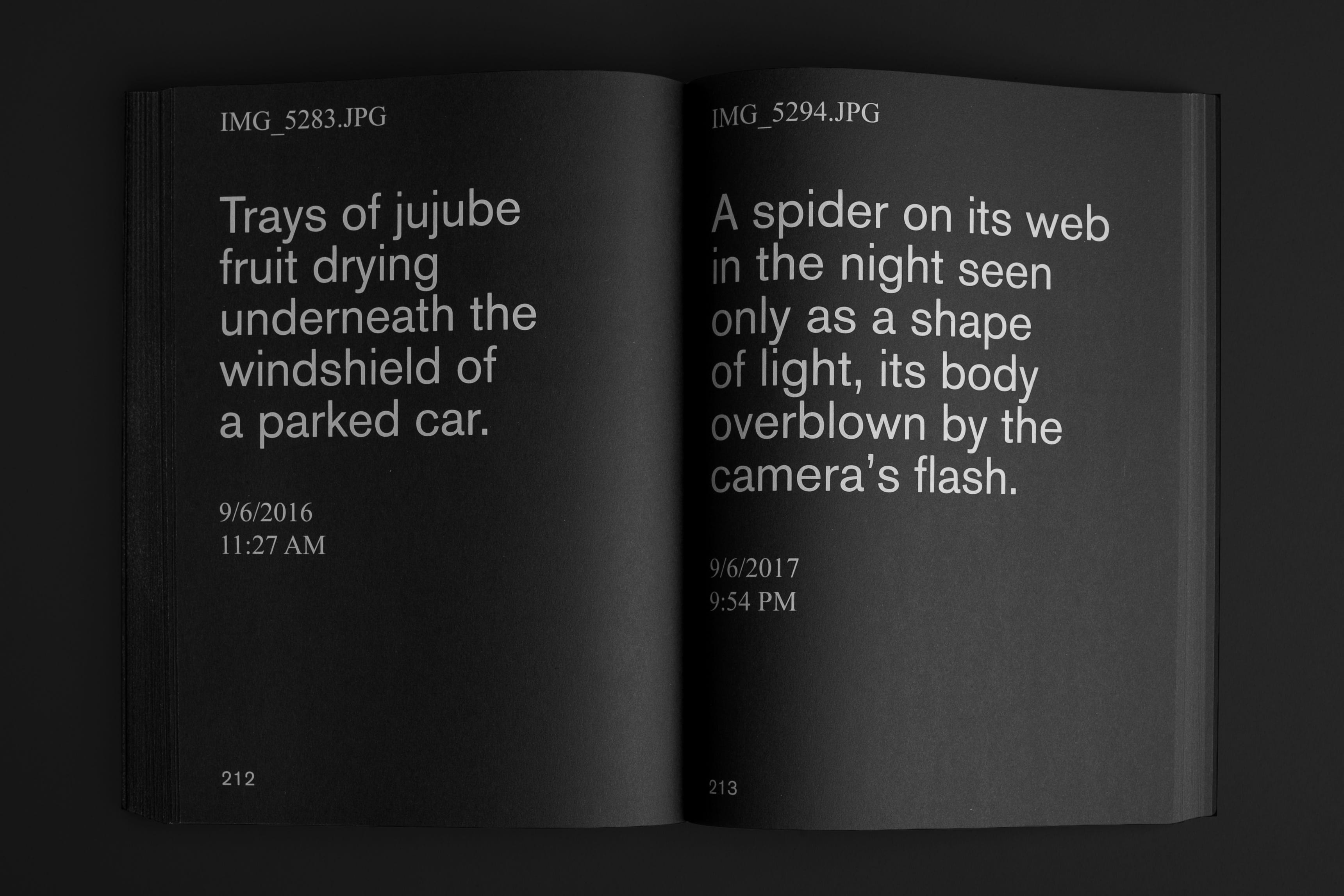 Nostalgia by David Horvitz - DRAWLIGHTS