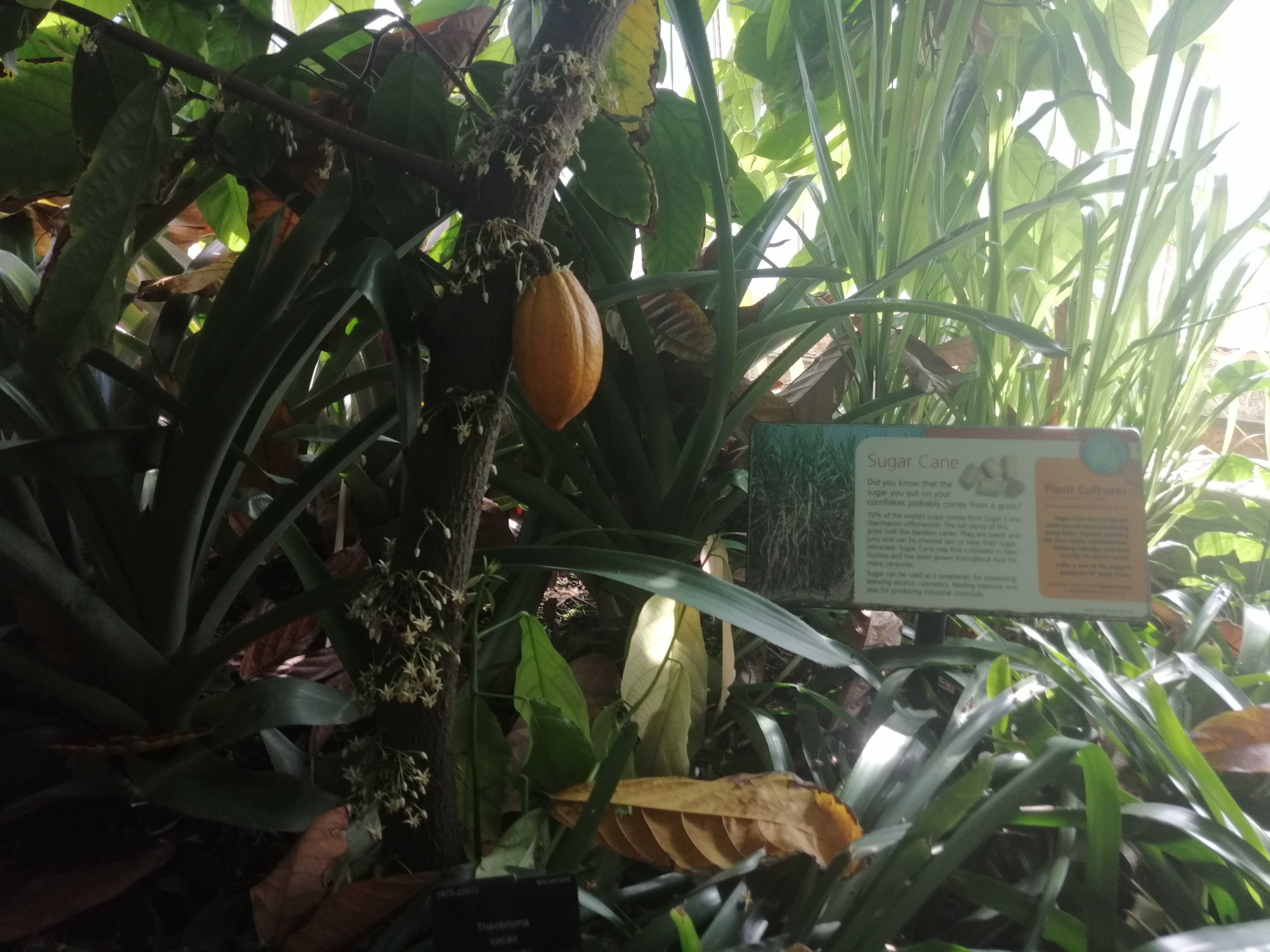 Rewilding London: Kew Botanical Gardens - by Sebastian