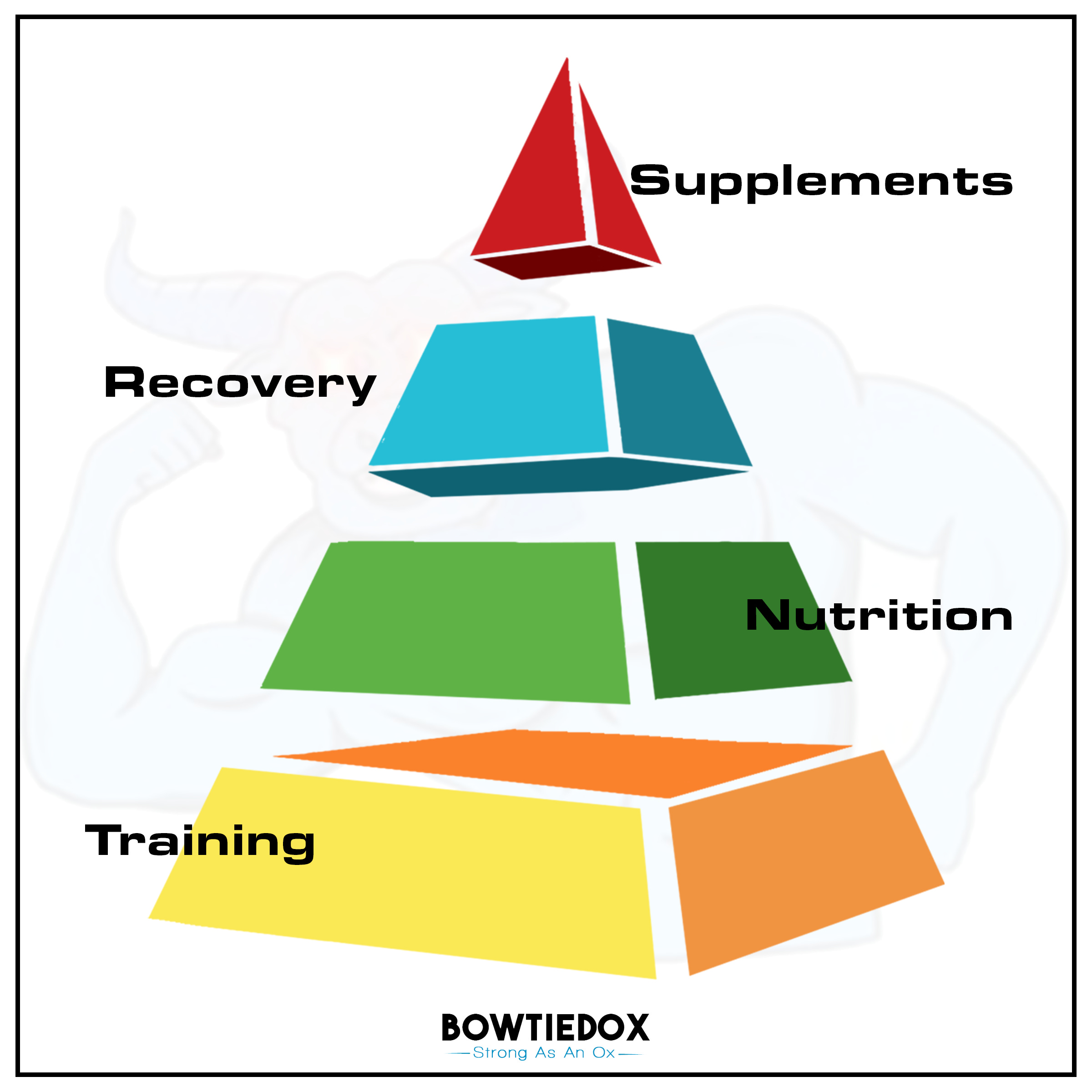 10 Frequently Most Asked Questions - by BowTiedOx