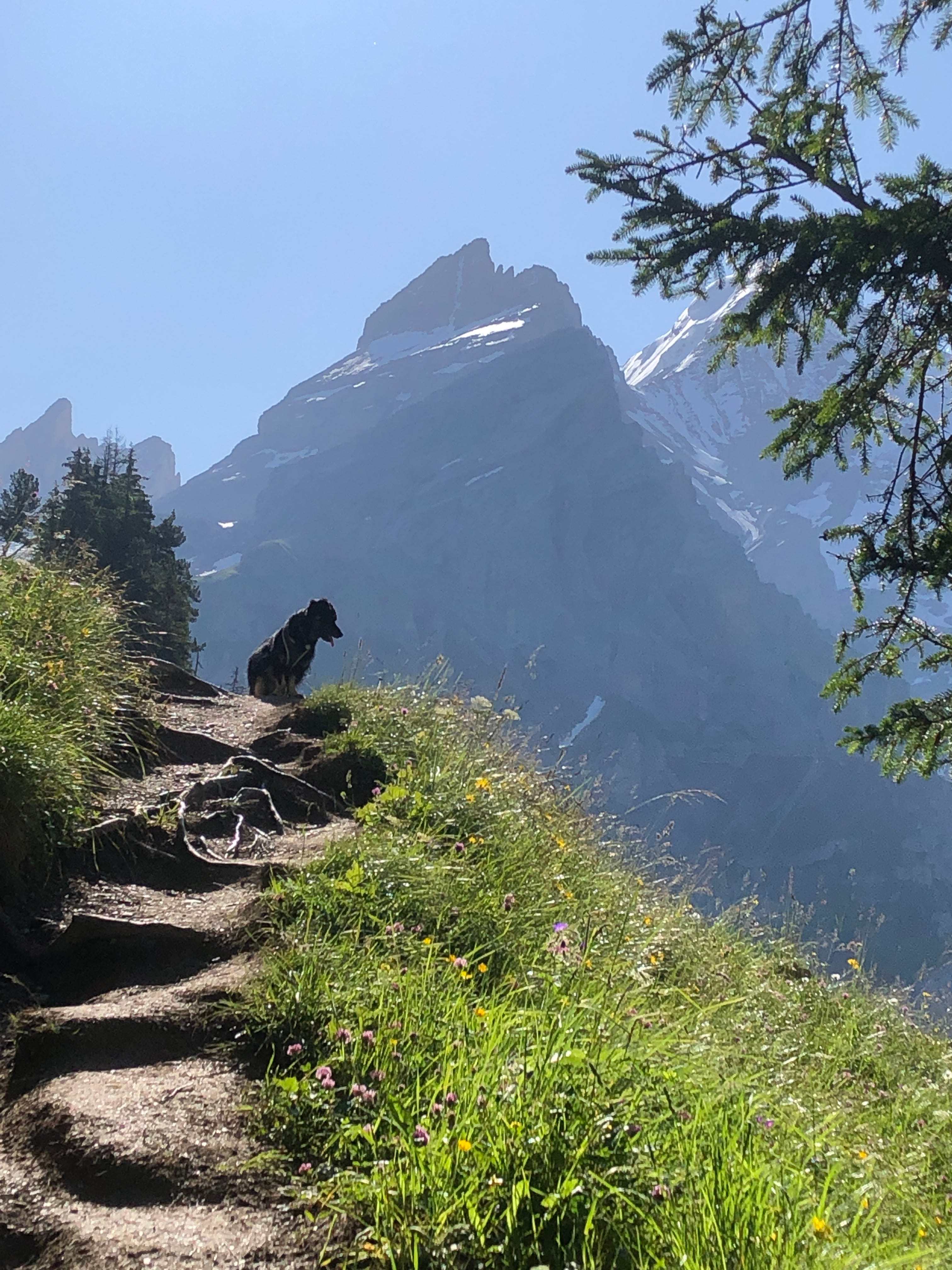 "The Happy Wanderer": Not Just a Goofy German Folksong