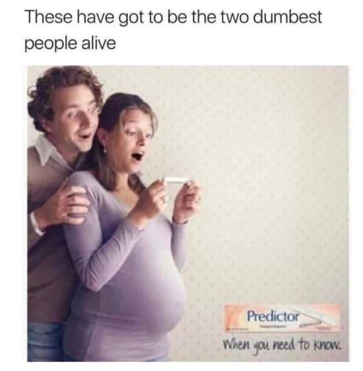 MONDAY MORNING MEME DUMP - by Tyler Zed - The Zed Letter