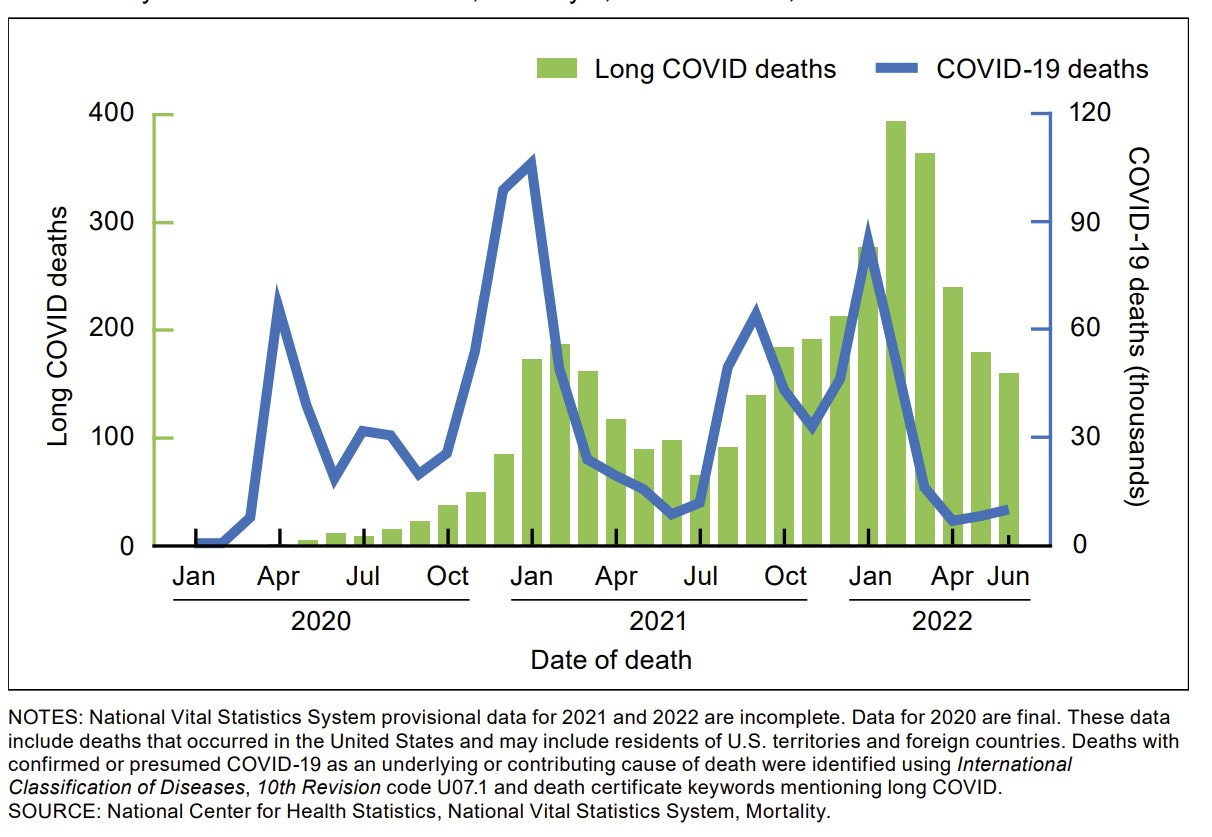 Long Covid: An update and gauging risk
