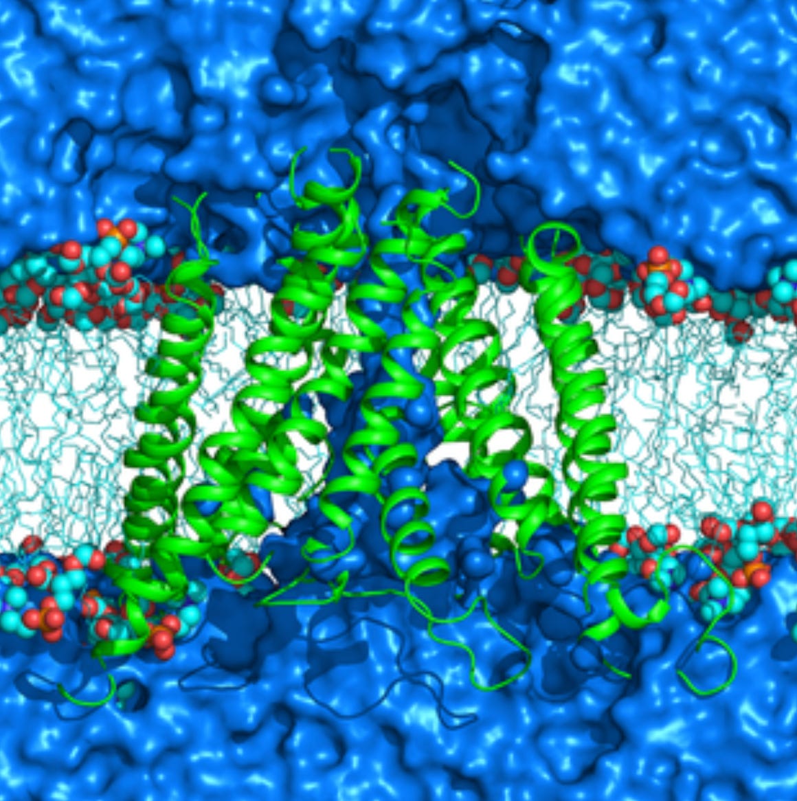 Question #19: Ion channel biophysics - by Andy McKenzie