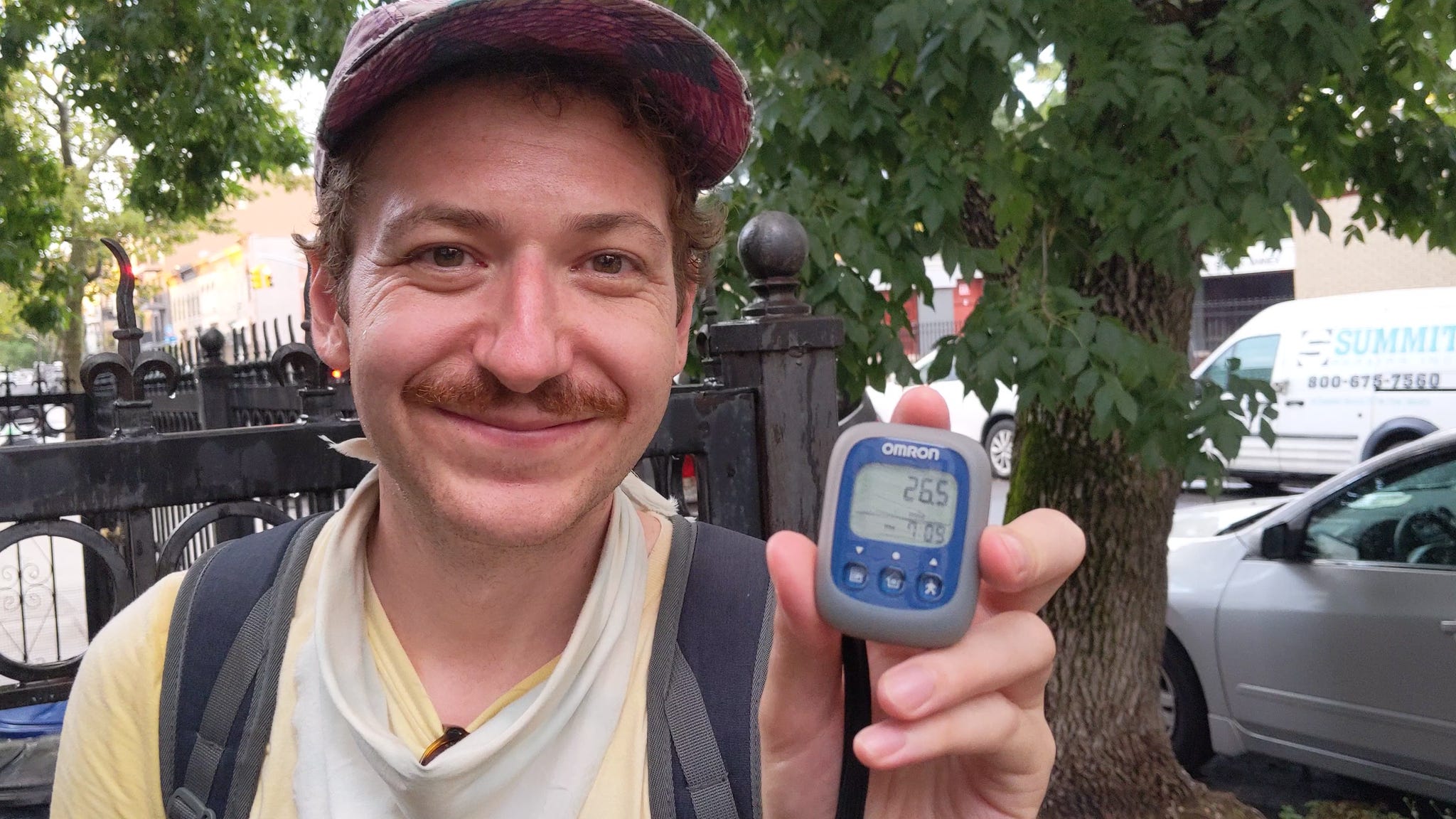 NYCs Most Bonkers Walkers - by Anne Kadet - CAFÉ ANNE