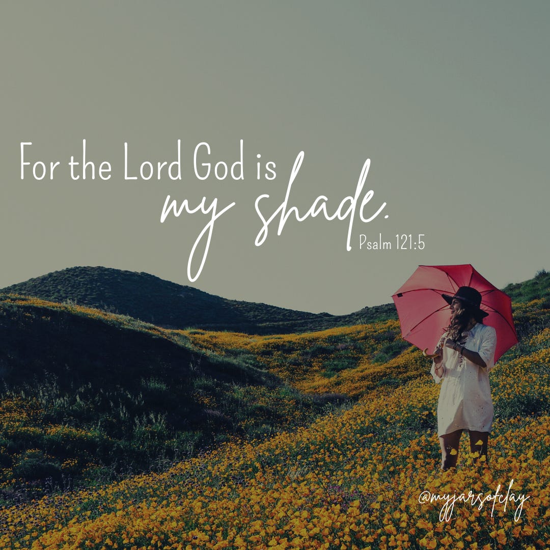 Hold His Gaze Week Five - by Amber Palmer