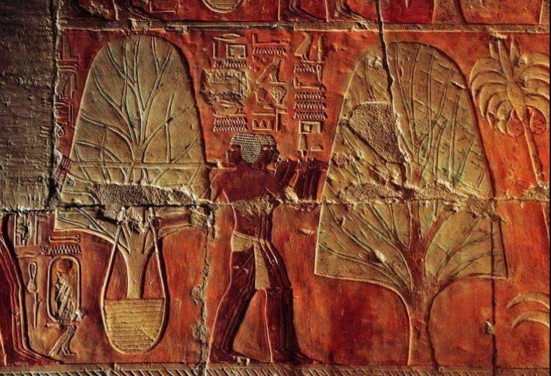 Demystifying the land of Punt and locating ancient Egypt's place in ...