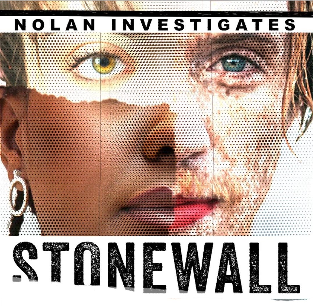 How Stonewall conquered our institutions