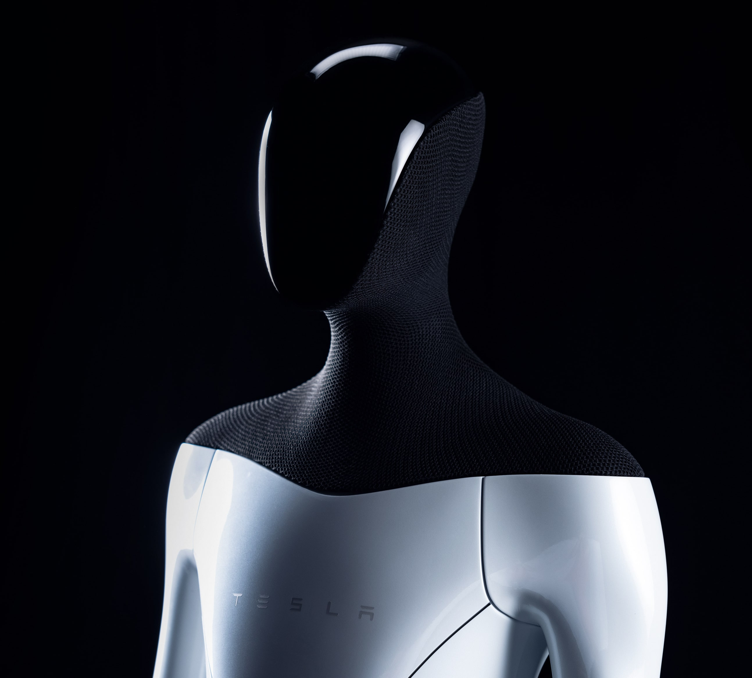 How Tesla's Masterplan Is a Consumer Humanoid Robotics Revolution